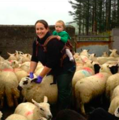 sheep rules - Carrying Matters