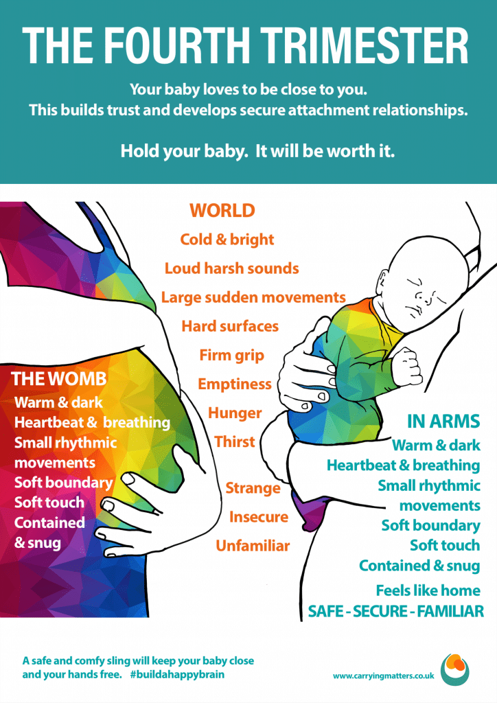 Secure Attachment and the "Fourth Trimester" - Carrying Matters